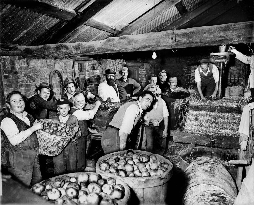 Cider Making In Jersey | Jersey Heritage